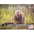 Amazon.com: Beaver Calendar 2025 Monthly Wall Calender 12 Month ...