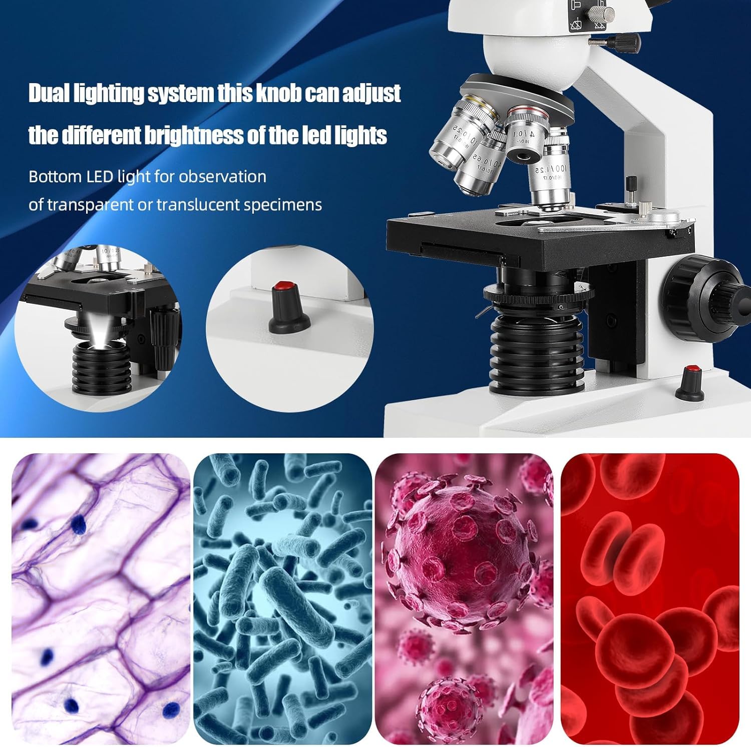 Compound Trinocular Microscope, 40X-5000X Magnification, Digital ...