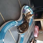 Catit Design Senses Super Roller Circuit: Amazon.co.uk: Pet Supplies