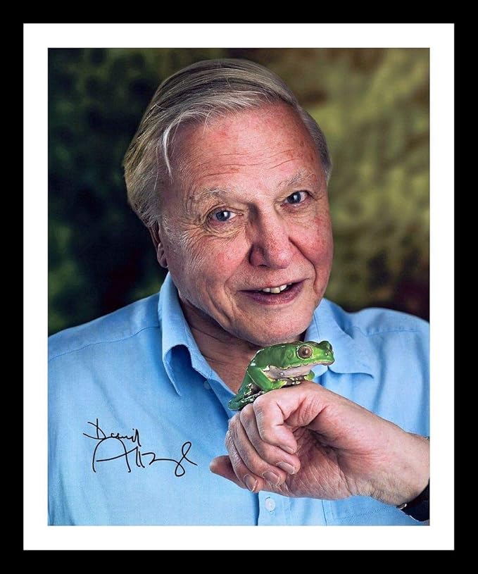 Sir David Attenborough Signed Autographed A4 Framed Photo Poster ...