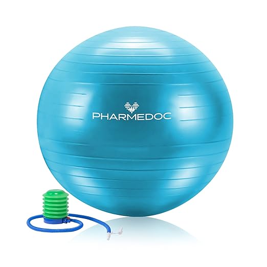 Best Stability / Physio / Balance / Swiss Ball Review January 2019