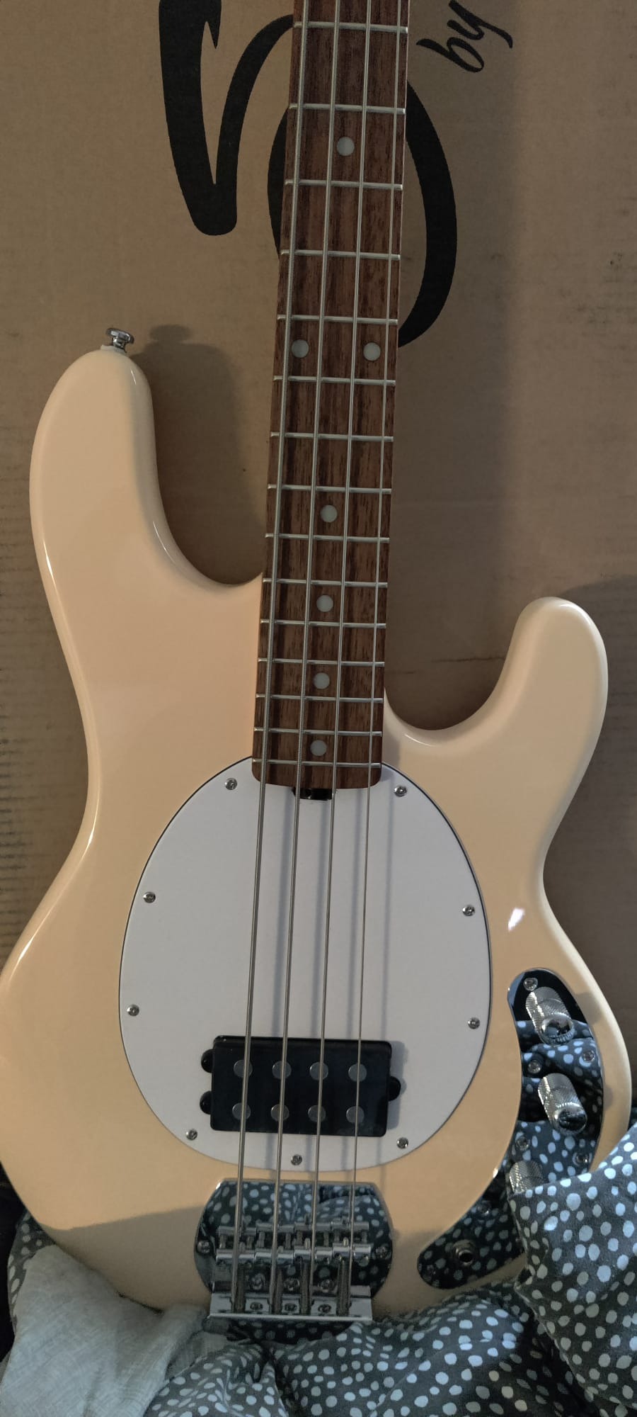 $29/mo - Finance Sterling by Music Man StingRay Ray4 Bass Guitar in ...