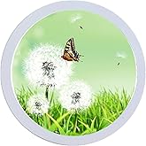 Amazon.com - alblinsy Round Photo Frame Wooden Wall Hanging Picture ...