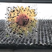 Pest-Stop PSWFS Window Fly Stickers - 4 Pack: Amazon.co.uk: Garden ...