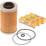 Amazon.com: Sea Doo Spark 900 Oil Filter W/O-Ring & NGK Spark Plugs Kit ...