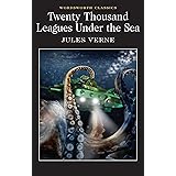 Amazon.com: 20,000 Leagues Under the Sea Graphic Novel (Saddleback's ...