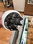 Amazon.com: Original Slap Chop Slicer with Stainless Steel Blades ...