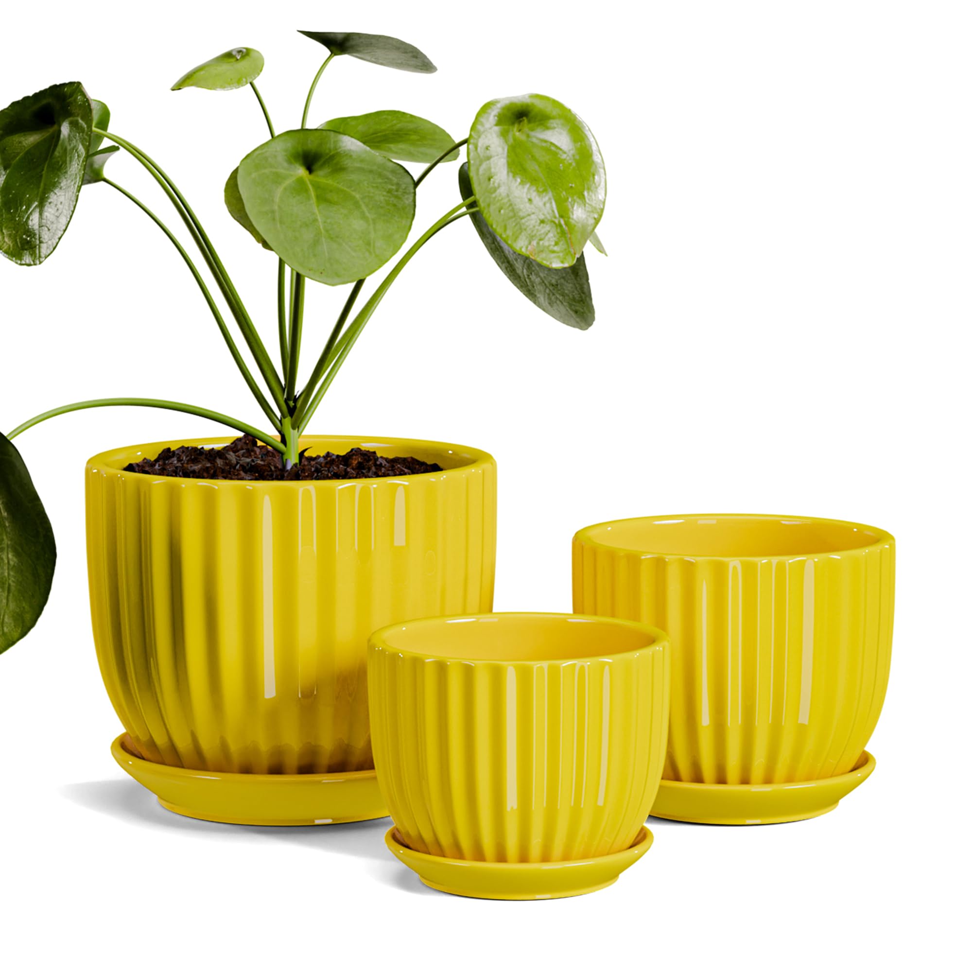 Ton Sin Ceramic Flower Pots,Yellow Plant Pots for Indoor Plants,4.1+5.1 ...