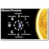 Amazon.com: Moon Phases Poster with Fun Facts- Laminated 14x19.5 ...