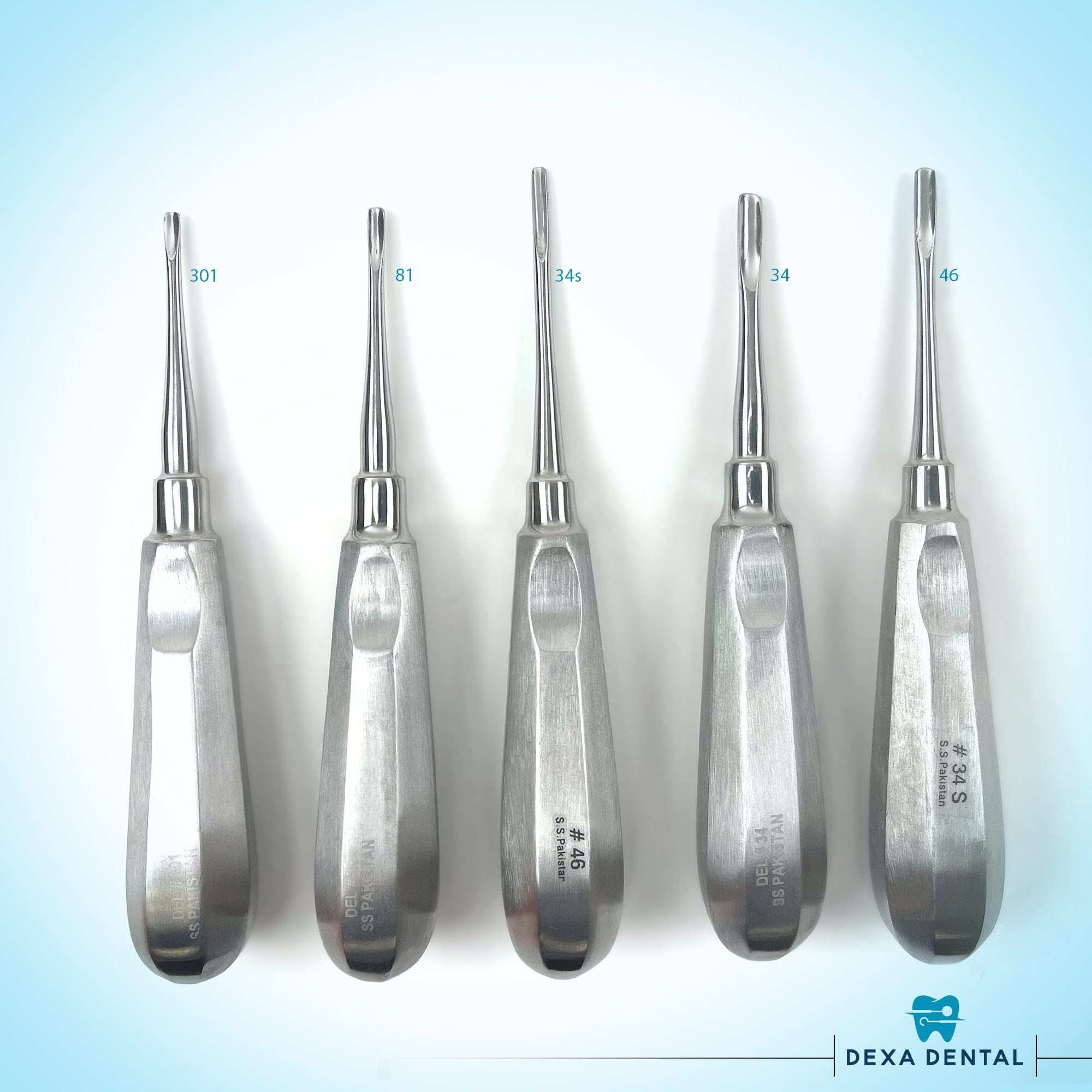 Mua DEXA DENTAL Root Elevator Set – Luxating Periotome, Apical Molt ...