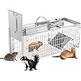 Amazon.com : Sumkat Squirrel Trap Live Animal Humane Cage Trap Catch ...