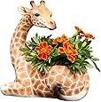Amazon.com: Giraffe Flowerpot - Flower Pots and Planters: Garden & Outdoor