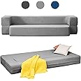 Amazon.com: BALUS Queen Convertible Velvet Futon Sofa Bed, Memory Foam ...