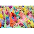 Amazon.com: ColorMarathon(TM) Premium Quality non-toxic HOLI Colors ...