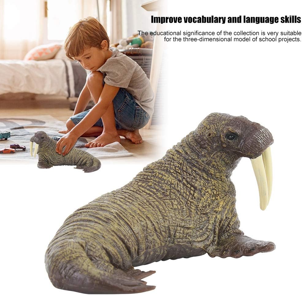 Marine Animal Model Toy, Miniature Realistic Science Plastic Animal ...
