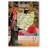 Amazon.com : OHIO STATE FACTS postcard set of 20 identical postcards ...