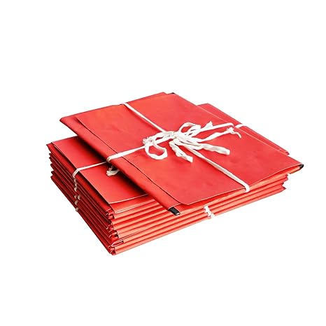 Ace Files Executive 4 Flap Folder - Pack of 10: Amazon.in: Office Products