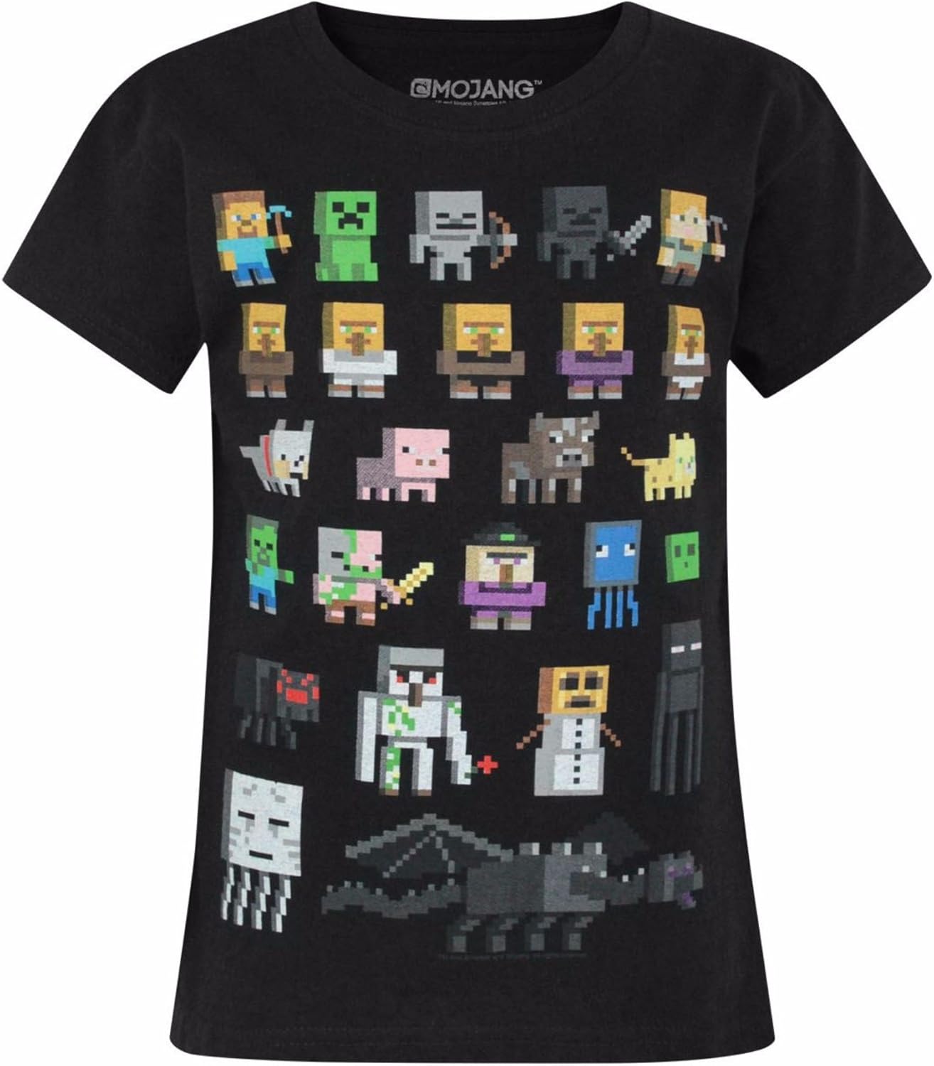Minecraft Sprites Girl's Black Short Sleeve T-Shirt Kids Gamer Tee ...
