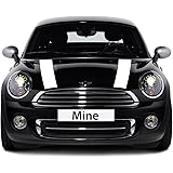 Amazon.com: The Pixel Hut GS00222 White with Black Border Hood Stripes ...