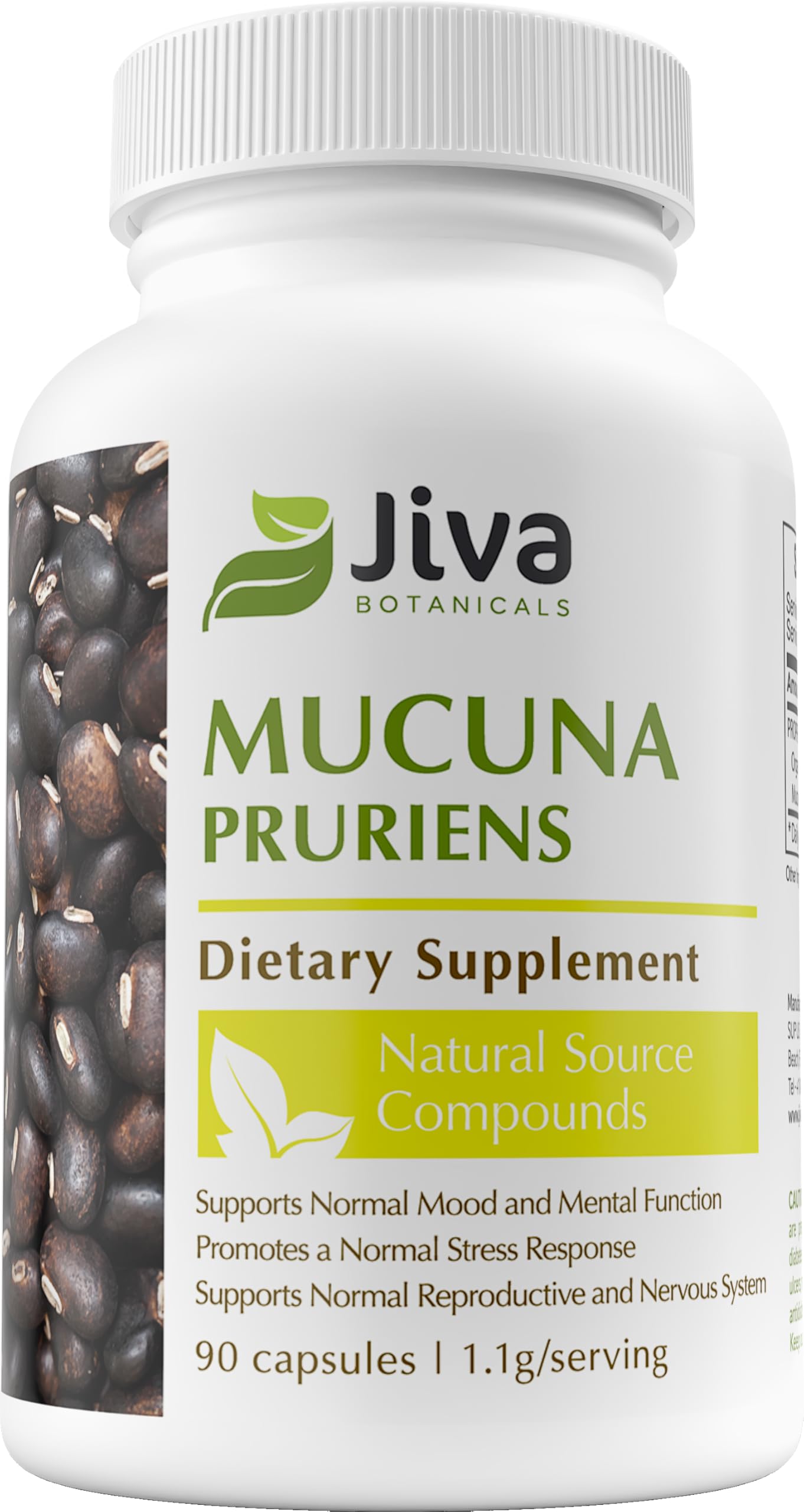 Mua Organic Mucuna Pruriens Capsules- Velvet Beans - Mucuna Pruriens ...
