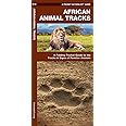 African Animal Tracks: A Folding Pocket Guide to the Tracks & Signs of ...