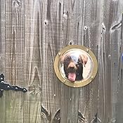 Amazon.com : FurryFriends Pet Window - Acrylic Dog Window/Peep Hole for ...