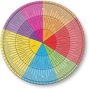 Amazon.com: Feelings Wheel Chart Therapy Circle of Emotions Chart ...