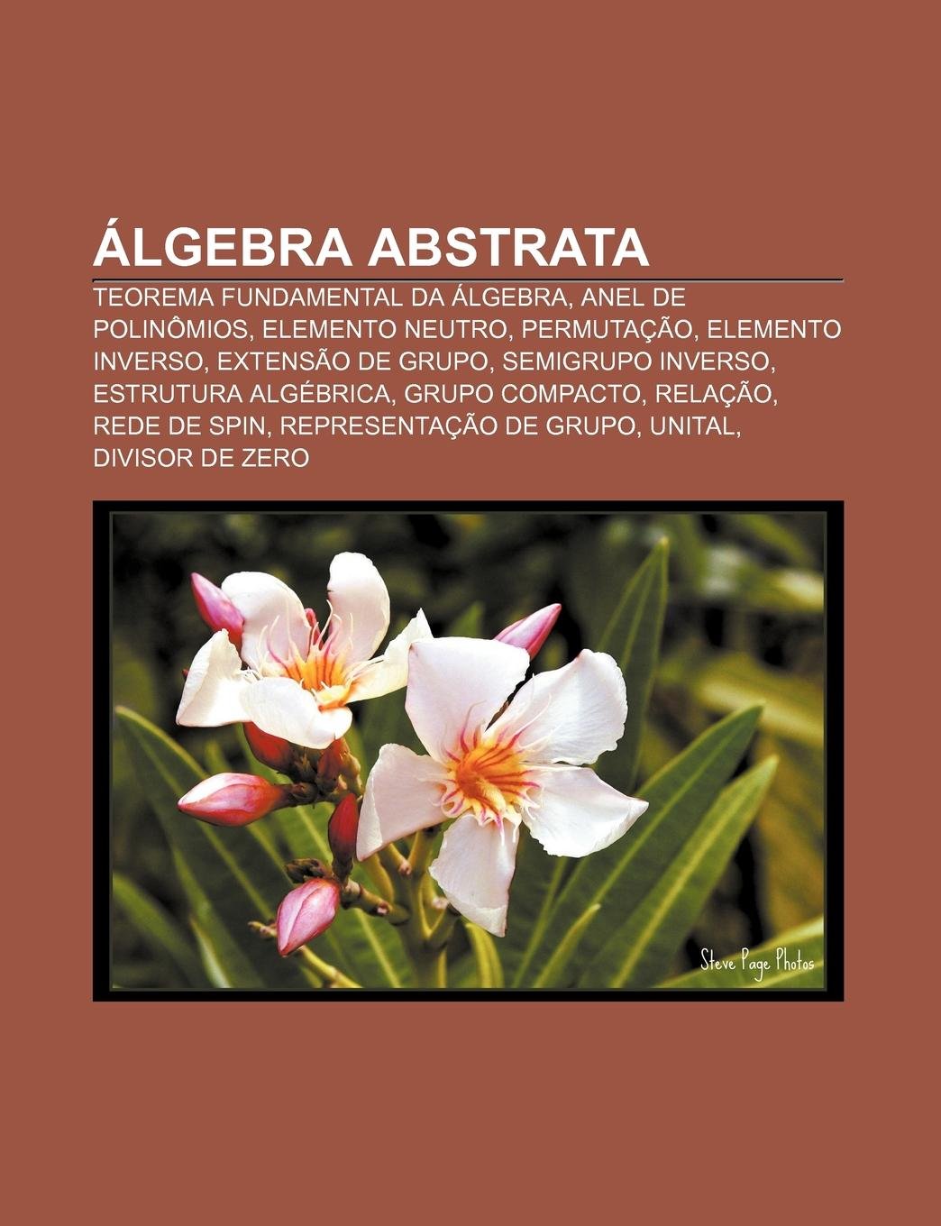 Algebra Abstrata: Teorema Fundamental Da Algebra, Anel de Polinomios ...