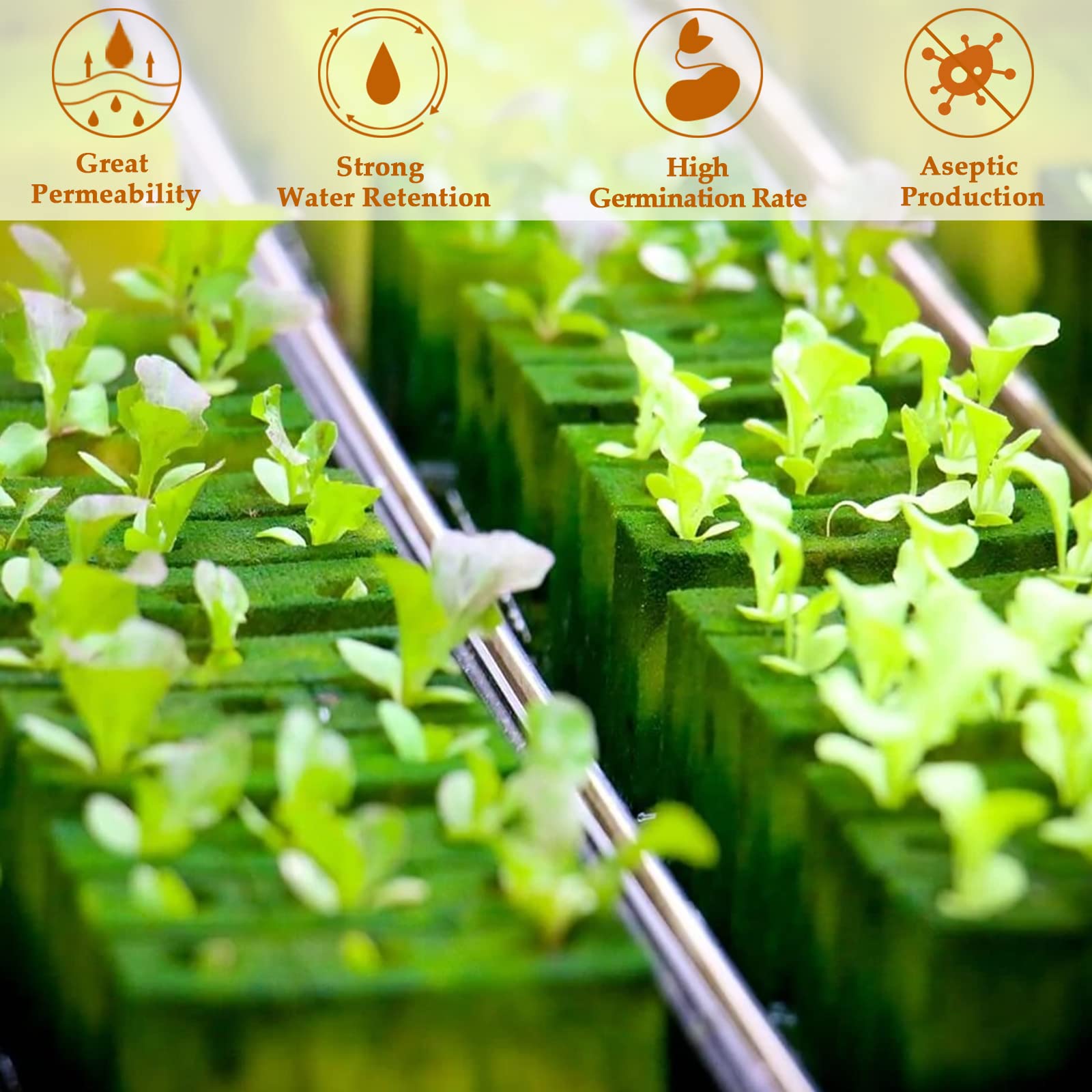 Mua Legigo 1 Inch Rockwool Cubes Seed Starter Plugs for Hydroponics ...