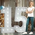 Amazon.com: Rielmox Marquee Light Up Number 15, 4FT Large Birthday ...