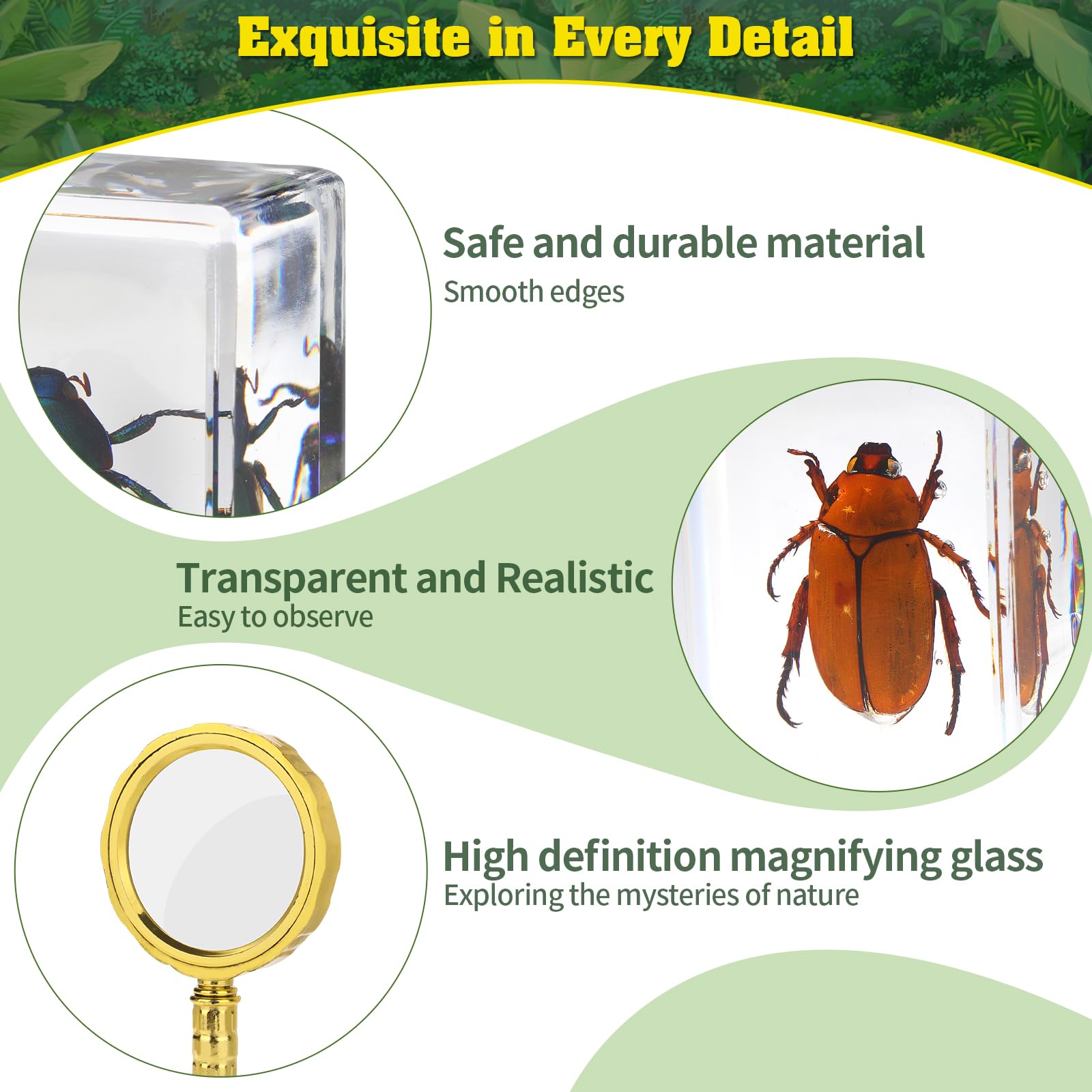 Mua 15 insect specimens,Real Specimens of Various Butterflies and ...