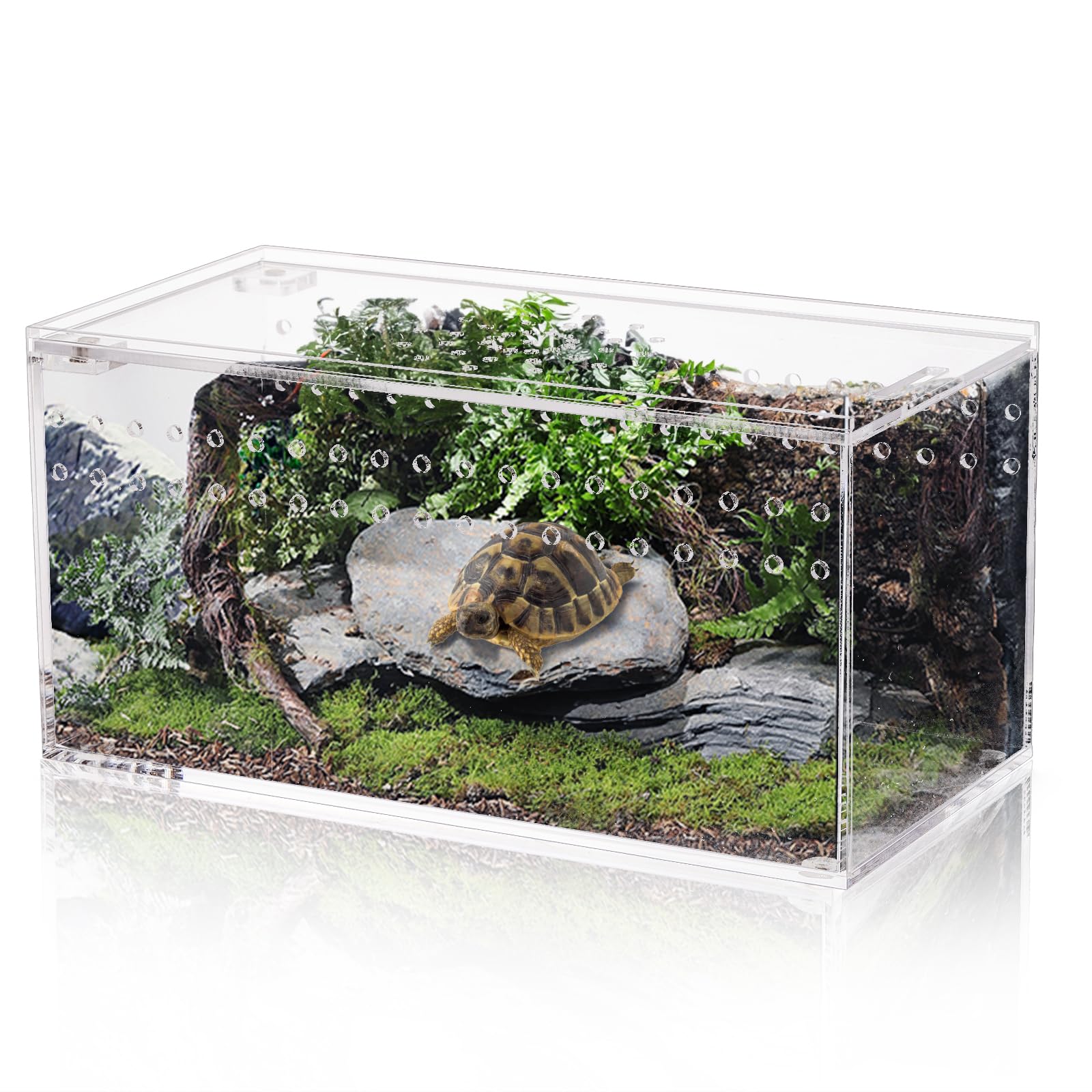 Mua Tlence Magnetic Acrylic Reptile Terrarium, 8" x 4" x 4" Transparent ...
