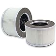 Amazon.com: PUREBURG AP10-F3 Replacement Filter Compatible with ...