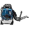 Amazon.com: 4-Cycle 75.6CC Gas Powered Backpack Leaf Blower Grass ...