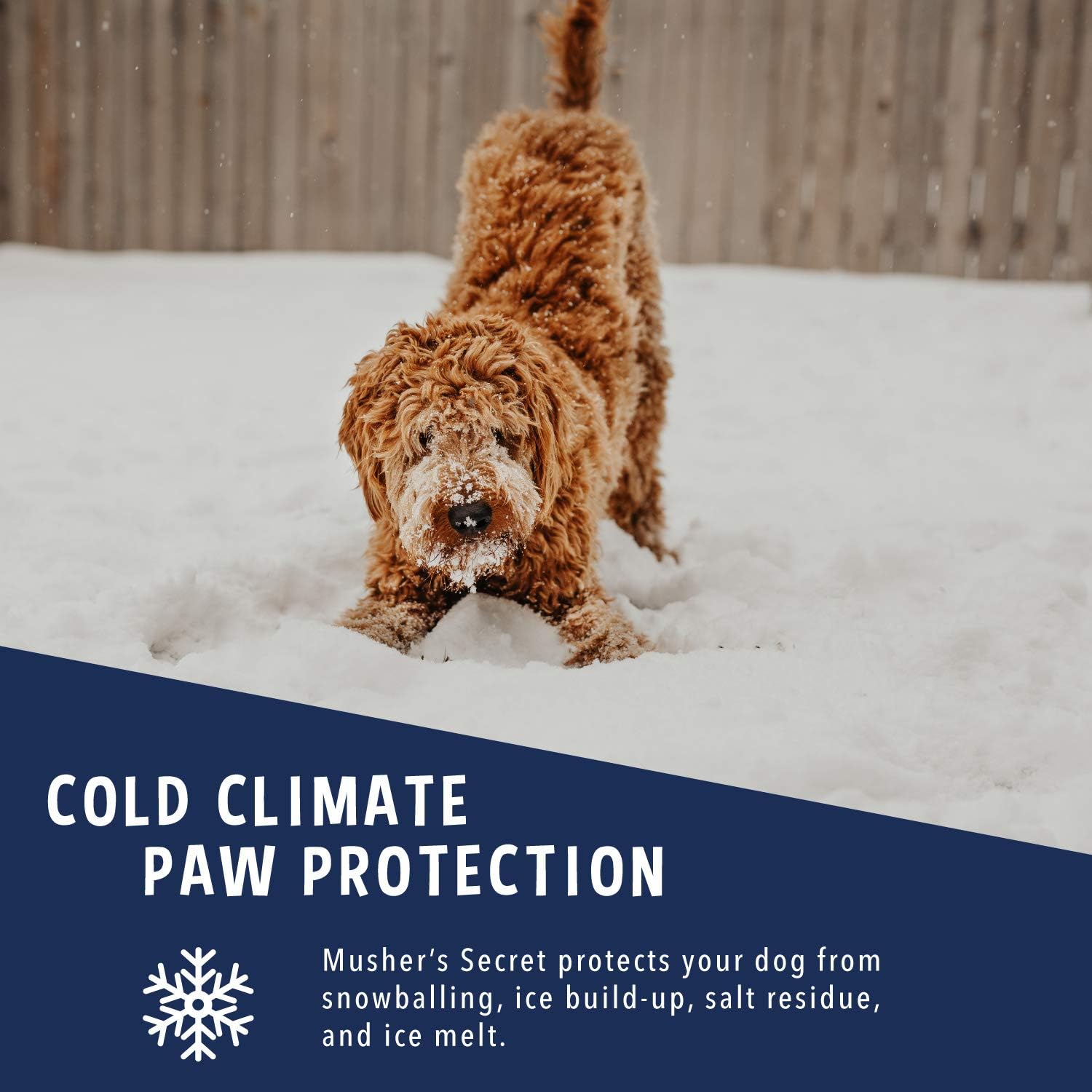 Musher’s Secret Paw Protection Wax, Dog Paw Balm Or Nose Balm, Ideal ...