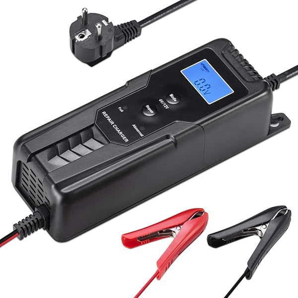 LOHOTEK 6V/12V 4A Automatic Battery Charger Maintainer with Cable ...