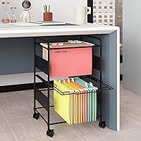 Amazon.com : PUNCIA 2 Tiers Metal Rolling File Carts with Wheels ...