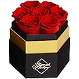 Amazon.com: GLAMOUR BOUTIQUE 7-Piece Forever Red Rose Box - Preserved ...