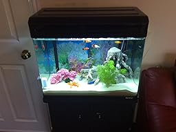 Boyu Aquarium Fish Tank and Cabinet with LED Lighting, 84 cm, 198 Litre ...