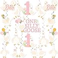 Amazon.com: One Silly Goose 1st Birthday Party Decoration Silly Goose ...