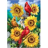 Amazon.com: Stalente Diamond Painting Kits for Adults, Cardinal Round ...