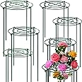 Amazon.com : 8 Sets Peony Support Cage,Heavy Duty Metal Plant Support ...