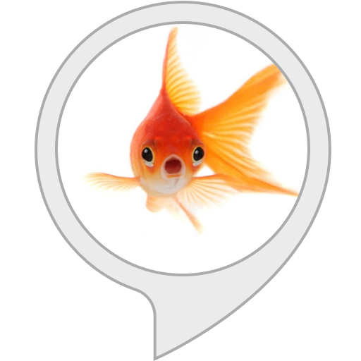 Amazon.com: Go Fish - The Card Game: Alexa Skills