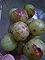 Fresh Amla, 250g : Amazon.in: Grocery & Gourmet Foods
