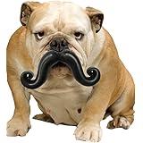 Pet Supplies : Pet Squeak Toys : Moody Pet Humunga Junior Tongue Toy ...