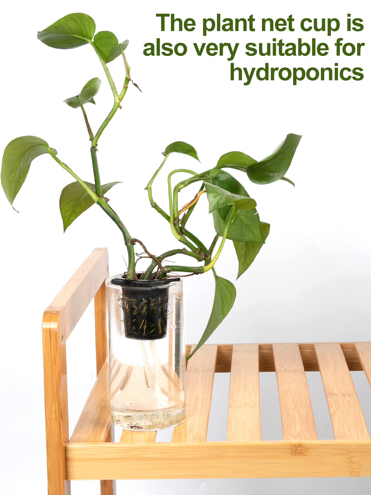 Mua 50Sets Rockwool Cubes for Hydroponics with Net Pots - 1in Rock Wool Planting Cubes 50 Plugs ...