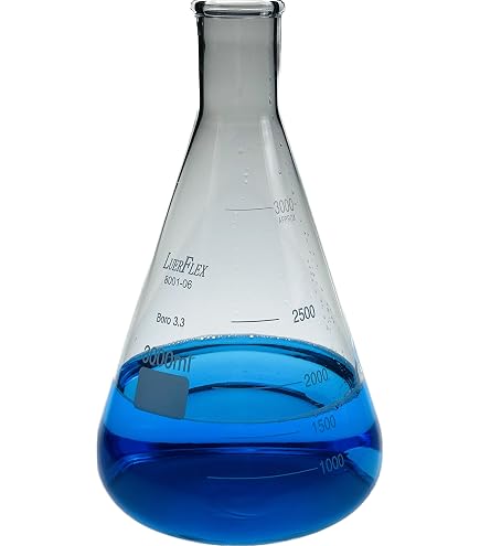 Erlenmeyer Flask Narrow Neck With Rim With Witeg Logo Witeg
