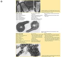 Koneman's Color Atlas and Textbook of Diagnostic Microbiology (Color ...