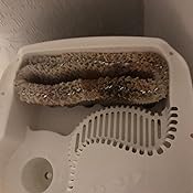 Vicks Paediatric Germ-Free Humidifier: Amazon.co.uk: Health & Personal Care