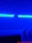 Amazon.com: Tenmiro Led Strip Lights 130ft (2 Rolls of 65ft) Smart ...